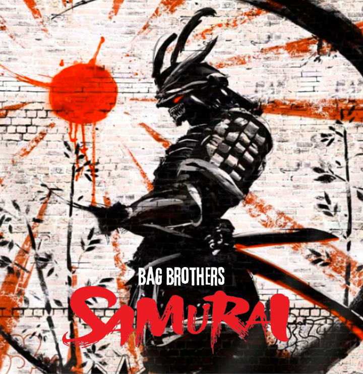 Cornhole Bags | Bean bags for Cornhole – bagbrotherscornhole